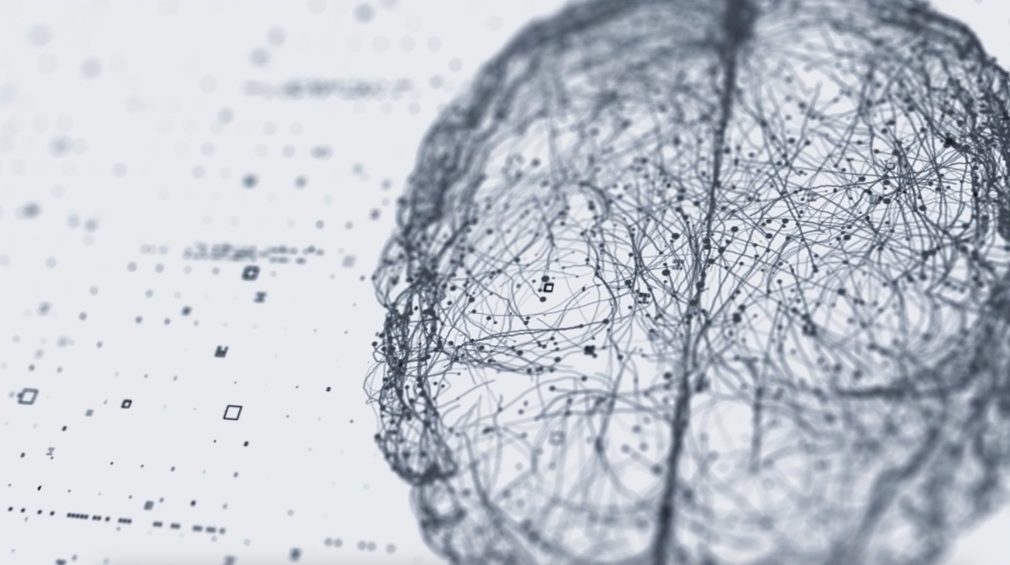 A Brain-Inspired Artificial General Intelligence Anyone Can Develop